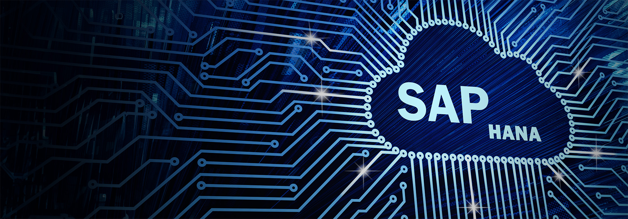 IBM POWER SAP Hana - Wilsch Power Hosting GmbH IBM POWER SAP Hana - Wilsch Power Hosting GmbH